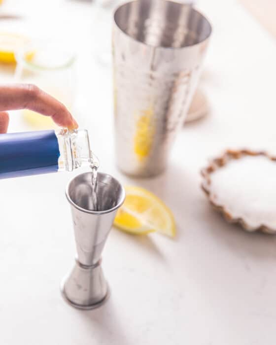 The Best Lemon Drop Shot (+how to video) - Britney Breaks Bread